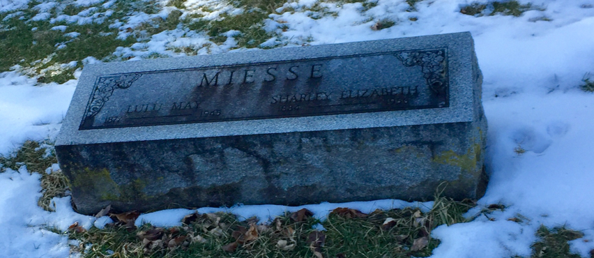 Lulu Miesse – Gal's Guide