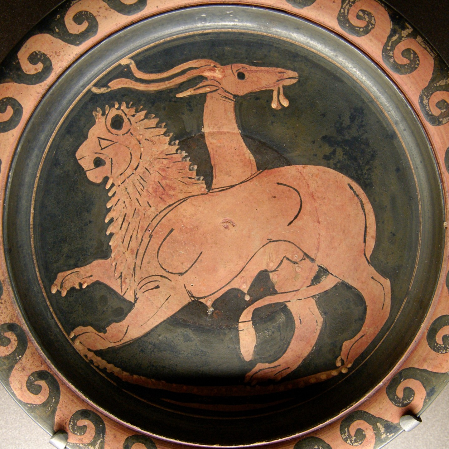 Women & Dragons: How Dragon Mythology Can Have Deep Feminine Wisdom ...