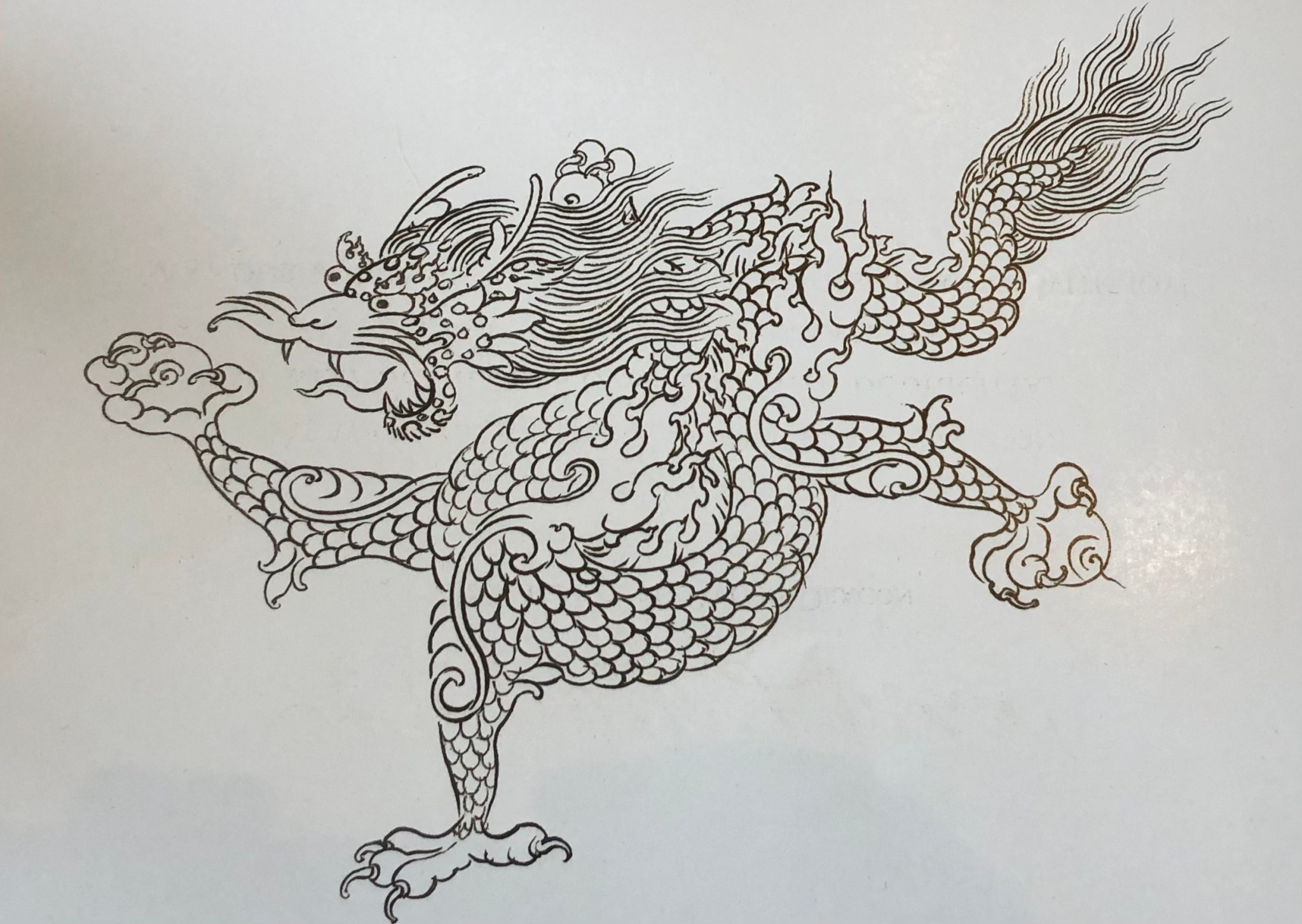 Women & Dragons: How Dragon Mythology Can Have Deep Feminine Wisdom ...